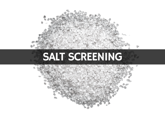 Sieving Salt | Toll Processing & Separation | Elcan Industries